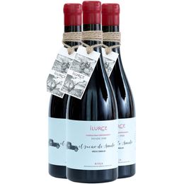 Bodegas y Vi&ntilde;edos Ilurce Pack Descuento El Sue&ntilde;o de Amado Vi&ntilde;edo Singular Rioja DOCa Garnacha Tinta 2019 Trocken - La &ndash; Probierpaket DOP