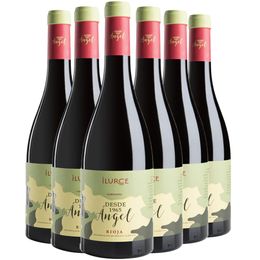 Bodegas y Vi&ntilde;edos Ilurce Pack Descuento &Aacute;ngel Rioja DOCa Garnacha Tinta 2020 Trocken - La &ndash; Probierpaket DOP