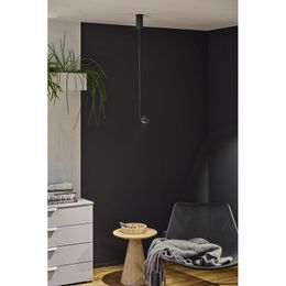 Paulmann LED Pendelleuchte »Puric Pane 9, 5W Anthrazit/Schwarz 230V Metall/Kunststoff« 1 Stk. Warmweiß 3-step-dimmbar schwarz