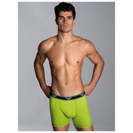 TRIGEMA Boxer »Bequeme Pants mit Webgummibund« 1 Stk. lemon L - 1 Stk. 1 Stk. L Stretch-Qualität