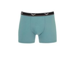 TRIGEMA Boxer »Bequeme Pants mit Webgummibund« 1 Stk. seegras XL - 1 Stk. 1 Stk. XL Stretch-Qualität