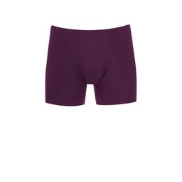 TRIGEMA Boxer &raquo;Herren Pant in bequemer Stretch-Qualit&auml;t&laquo; 1 Stk. aubergine M - 1 Stk. 1 Stk. M Stretch-Qualit&auml;t