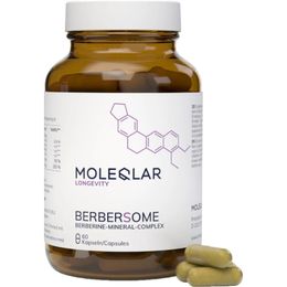 Moleqlar Berberine Mineral-Complex Kapseln 60 St