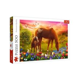 Trefl Spiel - Puzzle 500 Pferde auf der Wiese | Gr.: onesize