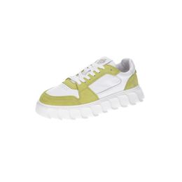 Apple of Eden Schn&uuml;rschuh LONDON in WHITE/LIGHT GREEN | Gr.: 39