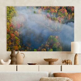 Bilderwelten Akustikbild Wald grau Motiv Schallschutzbild - Luftbild - Herbst Symphonie - B&auml;ume Wohnzimmer Schlafzimmer