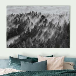 Bilderwelten Akustikbild Wald schwarz weiss Motiv Schallschutzbild - Lichtstrahlen im Nadelwald - B&auml;ume Wohnzimmer Schlafzimmer