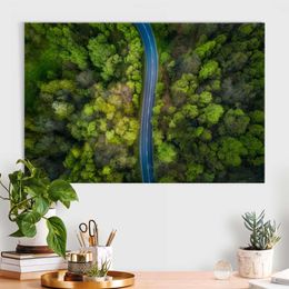 Bilderwelten Akustikbild Wald gr&uuml;n Motiv Schallschutzbild - Luftbild - Asphaltstra&szlig;e im Wald - B&auml;ume Wohnzimmer Schlafzimmer