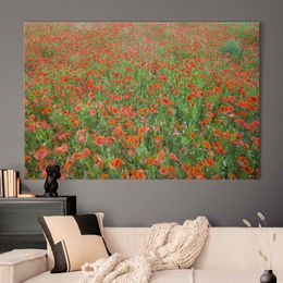Akustikbild Mohnblumenfeld