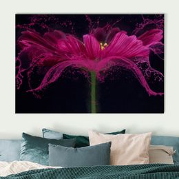 Bilderwelten Akustikbild Blumen pink Neon Art Schallschutzbild - Neonpinke Bl&uuml;te - Pflanzen Wohnzimmer Schlafzimmer
