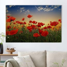 Bilderwelten Akustikbild Blumen rot Motiv Schallschutzbild - Mohnblumenfeld im Sonnenuntergang - Blumenwiese Wohnzimmer Schlafzimmer