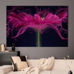 Akustikbild Neonpinke Bl&uuml;te