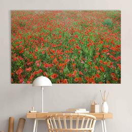 Bilderwelten Akustikbild Blumen rot Motiv Schallschutzbild - Mohnblumenfeld - Mohn Wohnzimmer Schlafzimmer