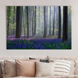 Bilderwelten Akustikbild Blumen gr&uuml;n Motiv Schallschutzbild - Fr&uuml;hlingstag im Wald - Blumenwiese Wohnzimmer Schlafzimmer