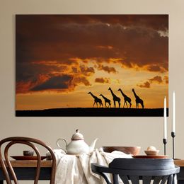 Akustikbild F&uuml;nf Giraffen
