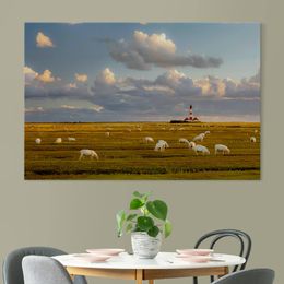 Akustikbild Nordsee Leuchtturm mit Schafsherde