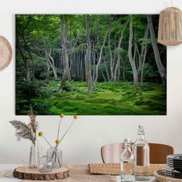 Bilderwelten Akustikbild Wald gr&uuml;n Motiv Schallschutzbild - Japanischer Wald - B&auml;ume Wohnzimmer Schlafzimmer