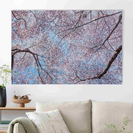 Bilderwelten Akustikbild Blumen rosa Motiv Schallschutzbild - Kirschbl&uuml;tenzweige vor blauem Himmel - Kirschbl&uuml;te Wohnzimmer Schlafzimmer