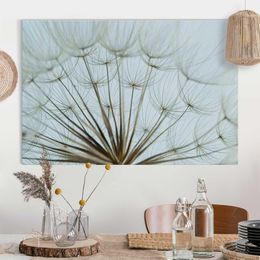 Bilderwelten Akustikbild Blumen beige Motiv Schallschutzbild - Sch&ouml;ne Pusteblume Makroaufnahme - Pusteblume Wohnzimmer Schlafzimmer