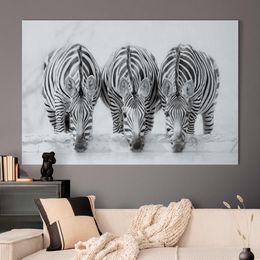 Akustikbild Zebra Trio schwarz-wei&szlig;