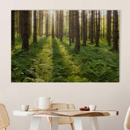 Bilderwelten Akustikbild Wald gr&uuml;n Motiv Schallschutzbild - Sonnenstrahlen in gr&uuml;nem Wald - B&auml;ume Wohnzimmer Schlafzimmer