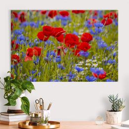 Bilderwelten Akustikbild Sommerwiese mit Mohn und Kornblumen