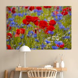 Akustikbild Sommerwiese mit Mohn und Kornblumen