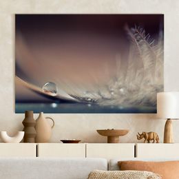 Bilderwelten Akustikbild Federn beige Motiv Schallschutzbild - Story of a Waterdrop - Feder Wohnzimmer Schlafzimmer