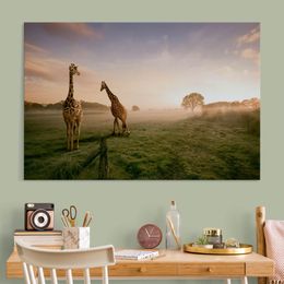 Akustikbild Surreal Giraffes