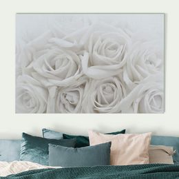 Bilderwelten Akustikbild beige Motiv Schallschutzbild - Wei&szlig;e Rosen - Rose Wohnzimmer Schlafzimmer