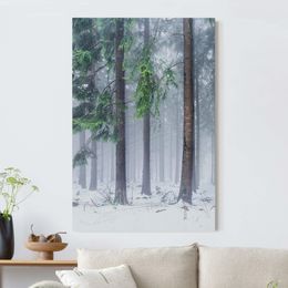 Bilderwelten Akustikbild Wald gr&uuml;n Motiv Schallschutzbild - Nadelb&auml;ume im Winter - B&auml;ume Wohnzimmer Schlafzimmer