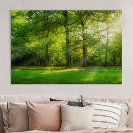 Bilderwelten Akustikbild Wald gr&uuml;n Motiv Schallschutzbild - Spaziergang im Wald - B&auml;ume Wohnzimmer Schlafzimmer