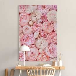 Bilderwelten Akustikbild Blumen pastell Landhaus Schallschutzbild - Rosen Ros&eacute; Koralle Shabby - Rose Wohnzimmer Schlafzimmer