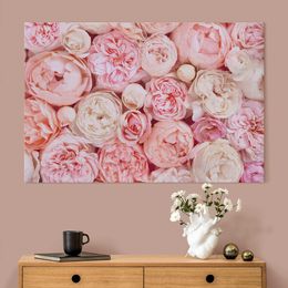 Akustikbild Rosen Ros&eacute; Koralle Shabby
