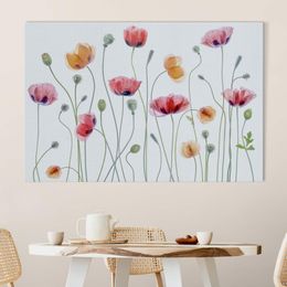 Bilderwelten Akustikbild Blumen weiss Motiv Schallschutzbild - Klatschmohn Party - Mohn Wohnzimmer Schlafzimmer
