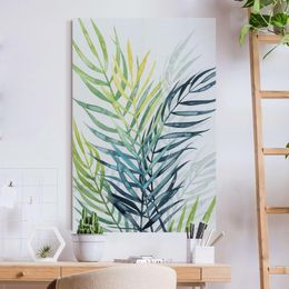 Bilderwelten Akustikbild Tropisches Blattwerk - Palme - Illustration Schallschutzbild XXL - B&uuml;ro Arbeitzimmer Schlafzimmer Wohnzimmer