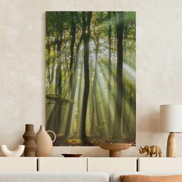 Bilderwelten Akustikbild Wald gr&uuml;n Motiv Schallschutzbild - Sonnentag im Wald - B&auml;ume Wohnzimmer Schlafzimmer