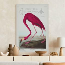 Bilderwelten Akustikbild Tiere pink Vintage Schallschutzbild - Vintage Lehrtafel Amerikanischer Flamingo - Retro Jugendzimmer