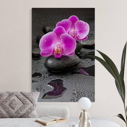 Bilderwelten Akustikbild Spirituell pink Motiv Steinoptik - Pinke Orchideenbl&uuml;ten auf Steinen mit Tropfen - Orchidee Wohnzimmer Schlafzimmer