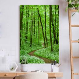 Bilderwelten Akustikbild Wald gr&uuml;n Motiv Schallschutzbild - Romantischer Waldweg - B&auml;ume Wohnzimmer Schlafzimmer