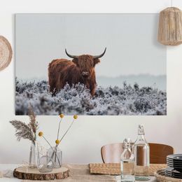 Bilderwelten Akustikbild Tiere weiss Motiv Schallschutzbild - Bison in den Highlands - Wandbild Wohnzimmer Schlafzimmer