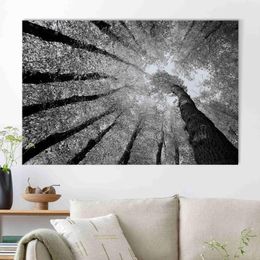 Bilderwelten Akustikbild Wald schwarz weiss Motiv Schallschutzbild - B&auml;ume des Lebens II - Himmel Wohnzimmer Schlafzimmer