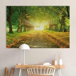 Bilderwelten Akustikbild Wald gr&uuml;n Motiv Schallschutzbild - Autumn Avenue - B&auml;ume Wohnzimmer Schlafzimmer