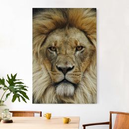 Bilderwelten Akustikbild Tiere gelb Motiv Schallschutzbild - Wisdom of Lion - L&ouml;we Wohnzimmer Schlafzimmer