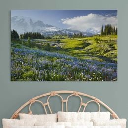 Akustikbild Bergwiese mit blauen Blumen vor Mt. Rainier