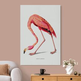 Akustikbild Boho Vogel - Flamingo