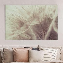 Bilderwelten Akustikbild Blumen beige Vintage Schallschutzbild - Detailreiche Pusteblumen Makroaufnahme mit Vintage Blur Effekt - Pusteblume Wohnzimmer