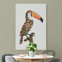Akustikbild Boho Vogel - Tukan