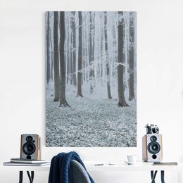Bilderwelten Akustikbild Wald weiss Motiv Schallschutzbild - Buchen mit Rauhreif - B&auml;ume Wohnzimmer Schlafzimmer