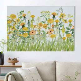 Bilderwelten Akustikbild Blumen gr&uuml;n Illustration Aquarell - Aquarellierte Blumenwiese in Gelb - Blumenwiese Wohnzimmer Schlafzimmer